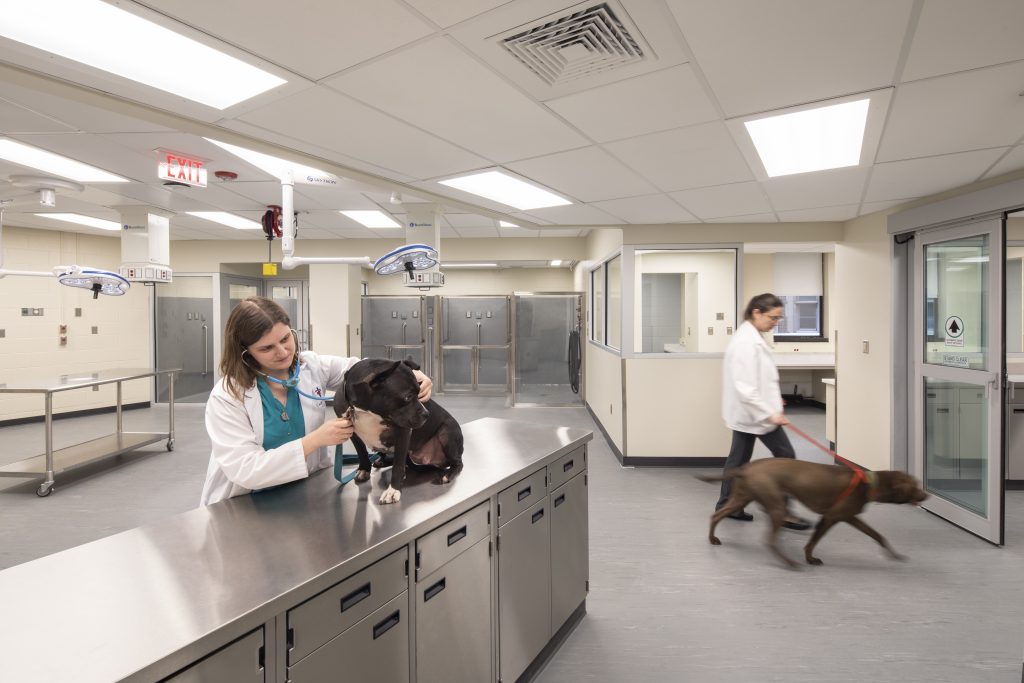 University of Pennsylvania – Ryan Veterinary Hospital Trauma Center – P ...