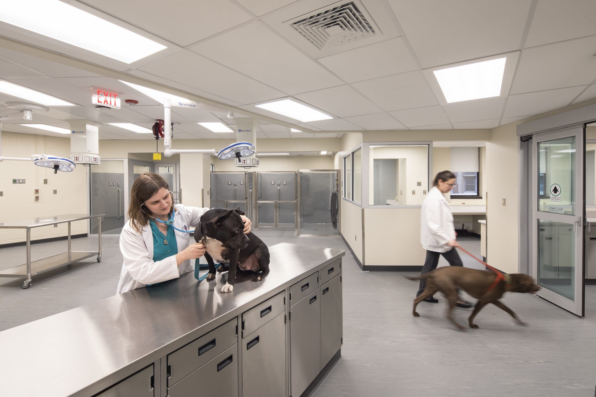 University of Pennsylvania – Ryan Veterinary Hospital Trauma Center – P ...
